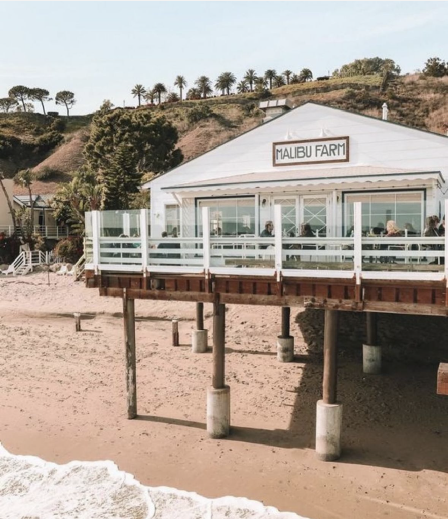 Malibu Farm - A conscious platform